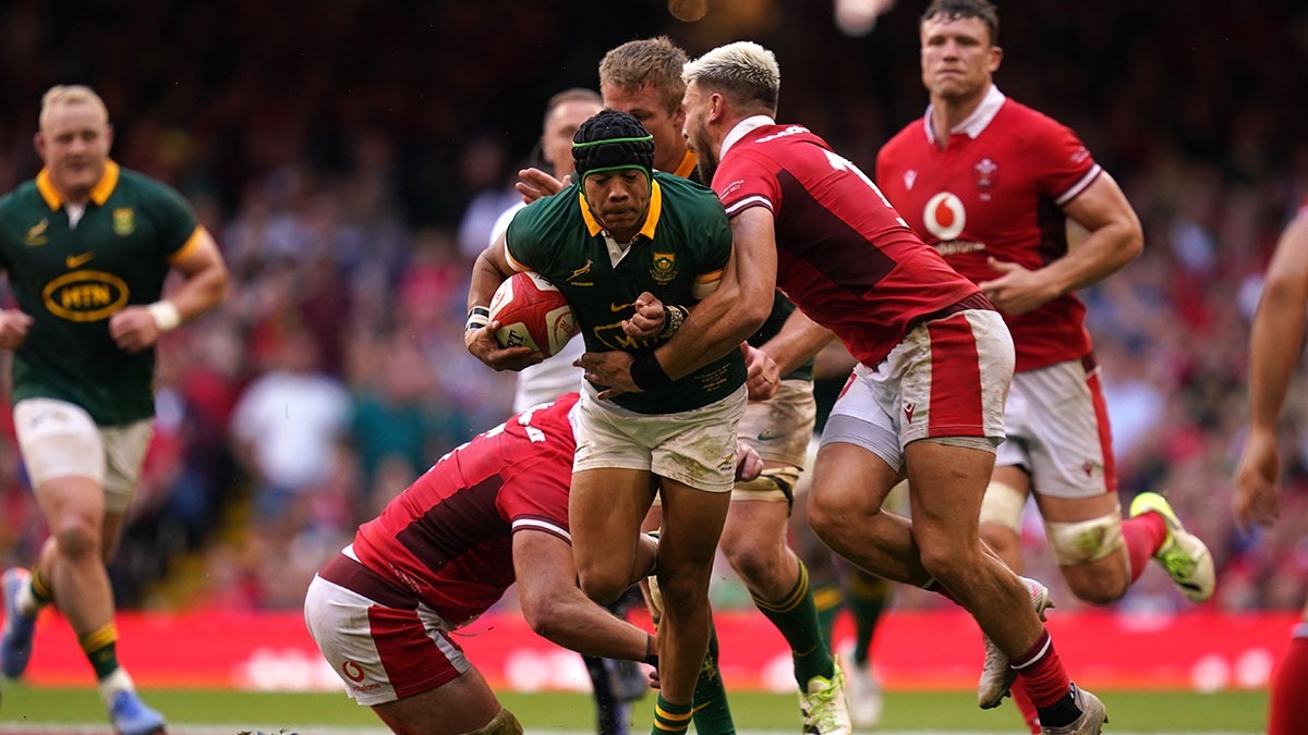 Final Clash as Wales Face Mighty Springboks - The Post News